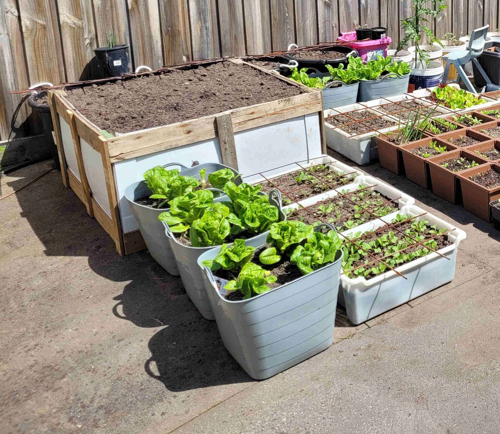 Planter boxes using corflute and milk crates - Mitch's Notes