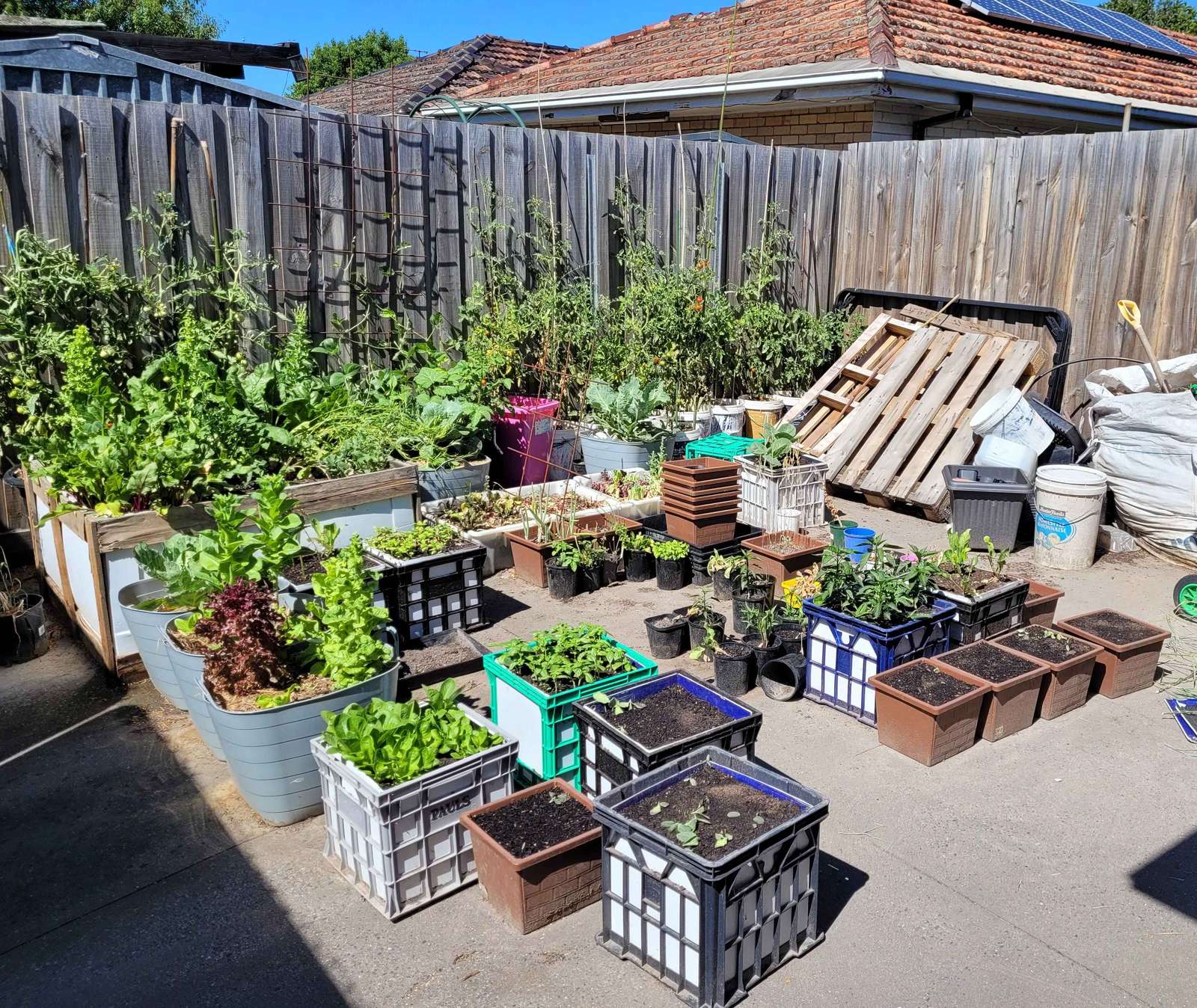 Planter boxes using corflute and milk crates - Mitch's Notes